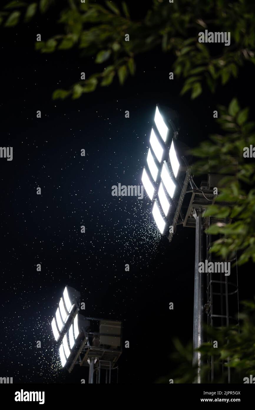 Swarm of insects and mosquitoes around the lamp of an electric ...