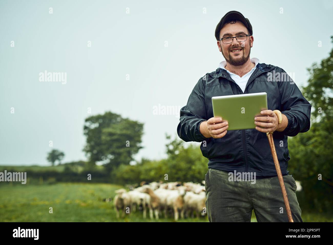 Sheep cane hi-res stock photography and images - Alamy