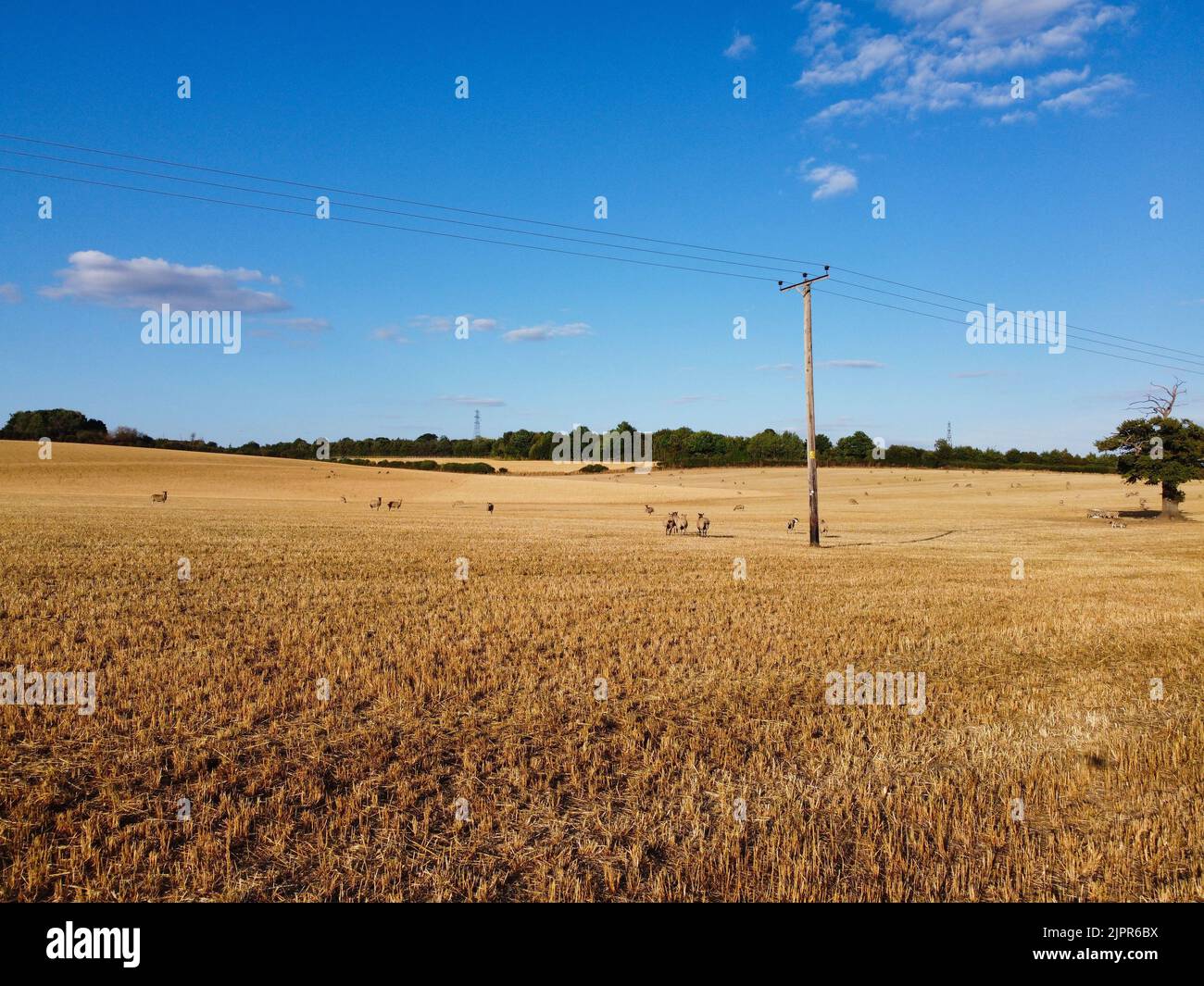 Halal scenery and scenery hi-res stock photography and images - Alamy