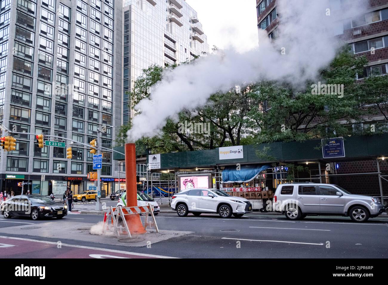 New York, New York, USA. 19th Aug, 2022. August 14, 2022: New York City ...