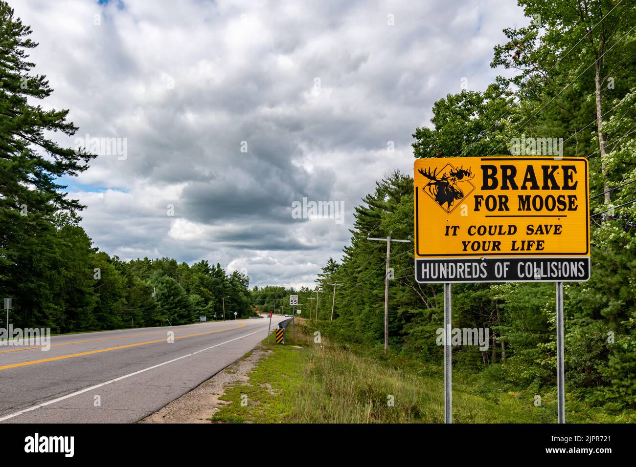 Symbols of new life nature hi-res stock photography and images - Alamy