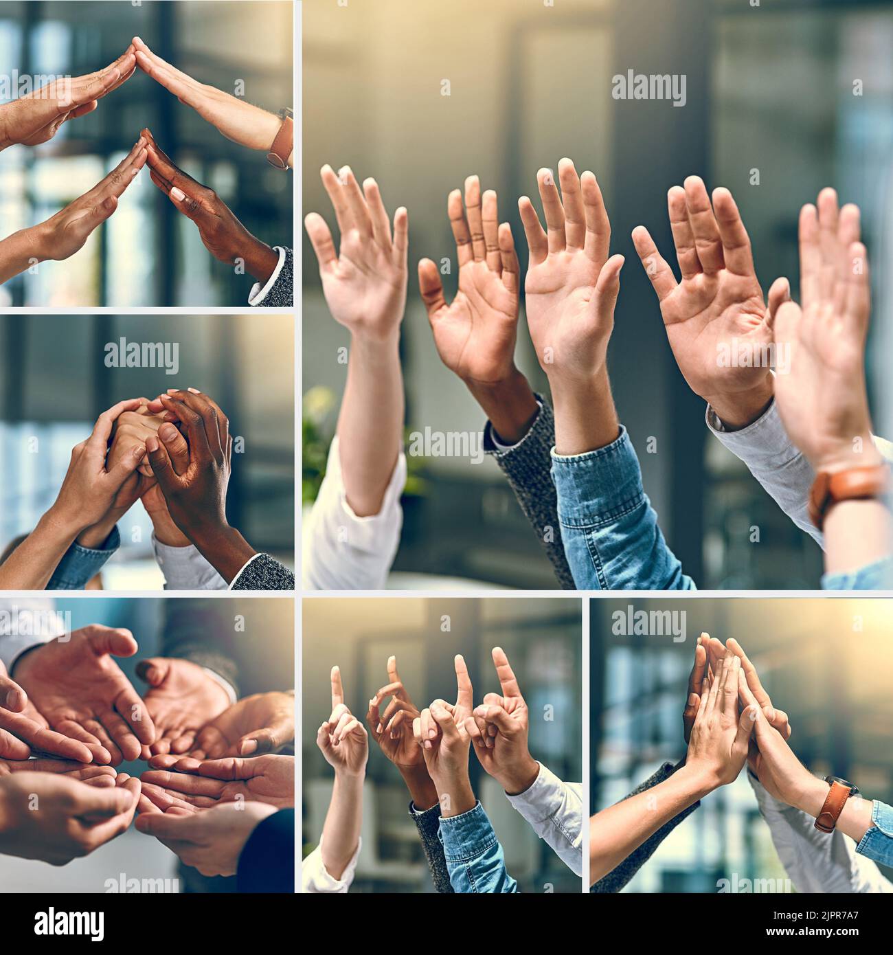 Raise your hand if youre in the best team ever. Composite shot of a ...