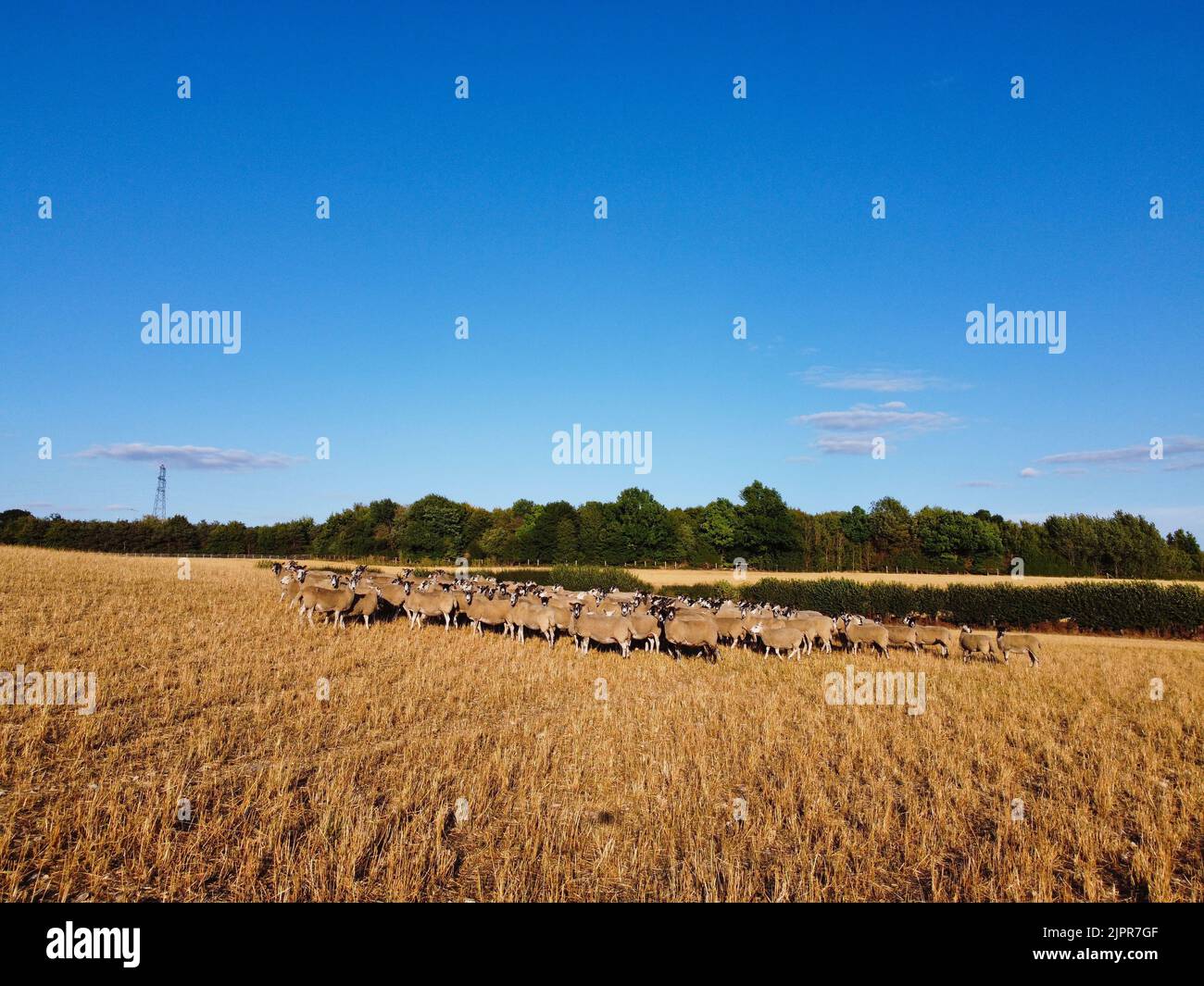 Halal scenery and scenery hi-res stock photography and images - Alamy