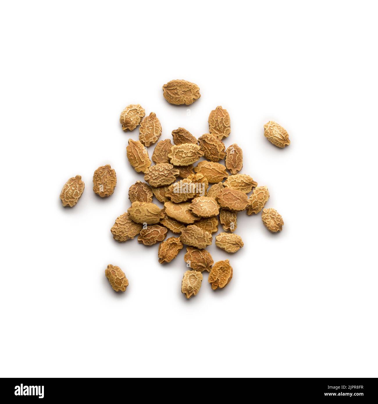 heap of bitter gourd or bitter melon seeds, momordica charantia ...