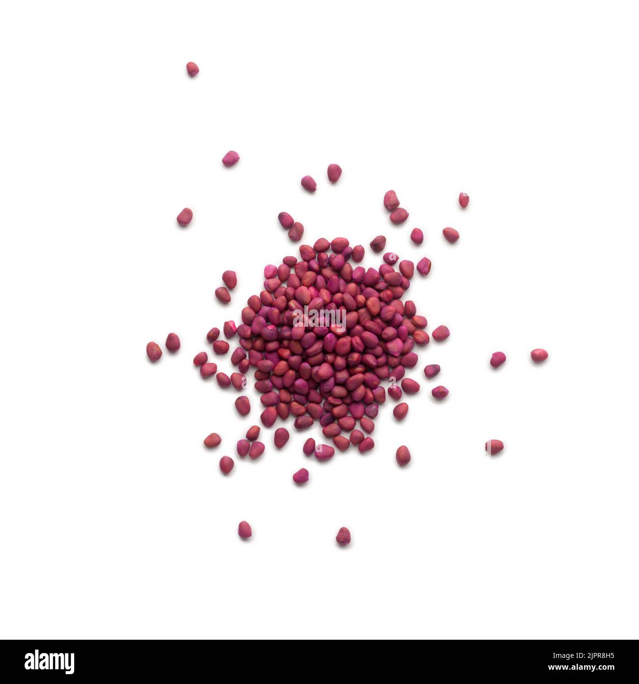 heap of white radish seeds, daikon or mooli, fast-growing vegetable ...