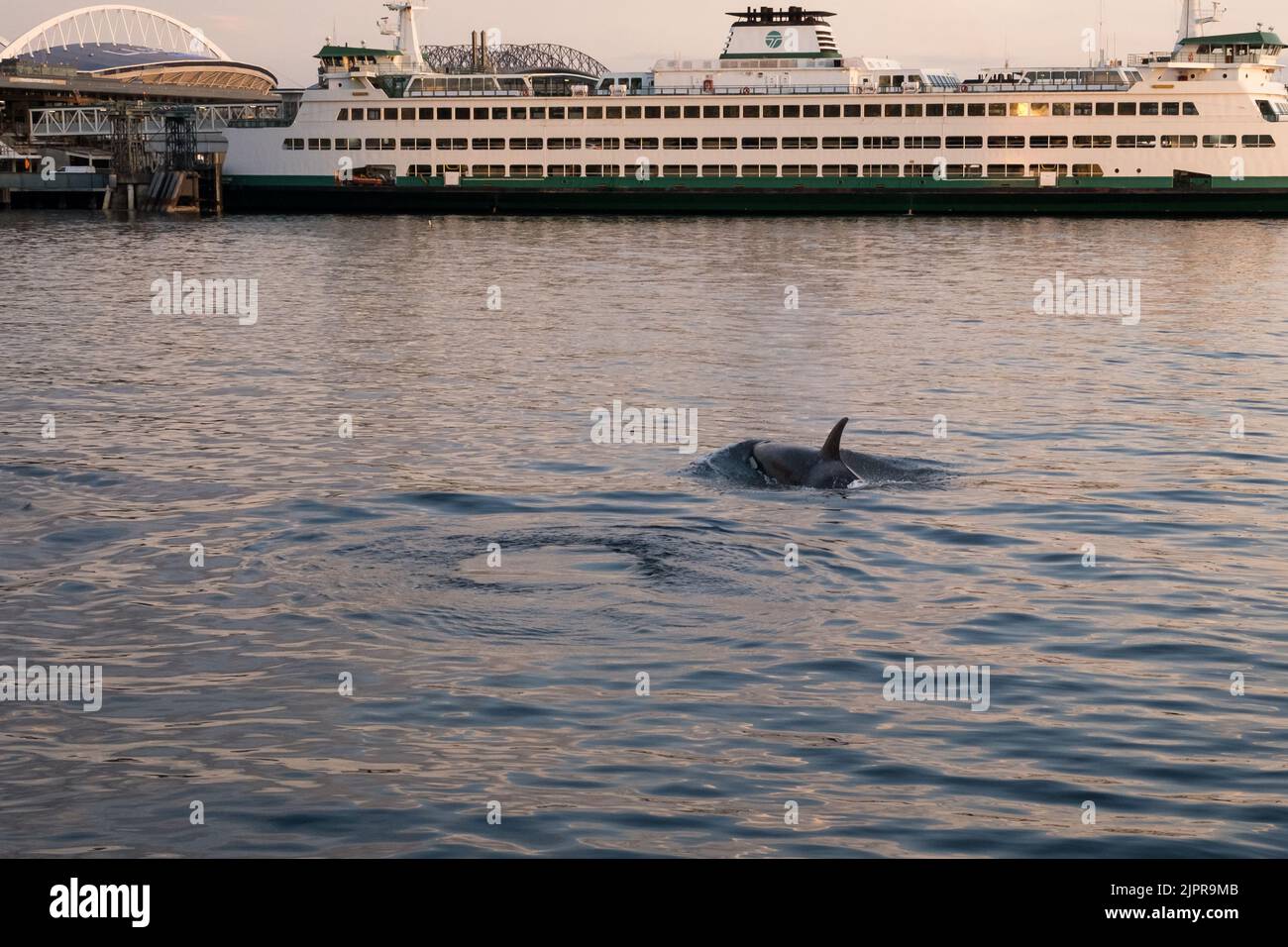 Colman dock ferry terminal hi-res stock photography and images - Alamy