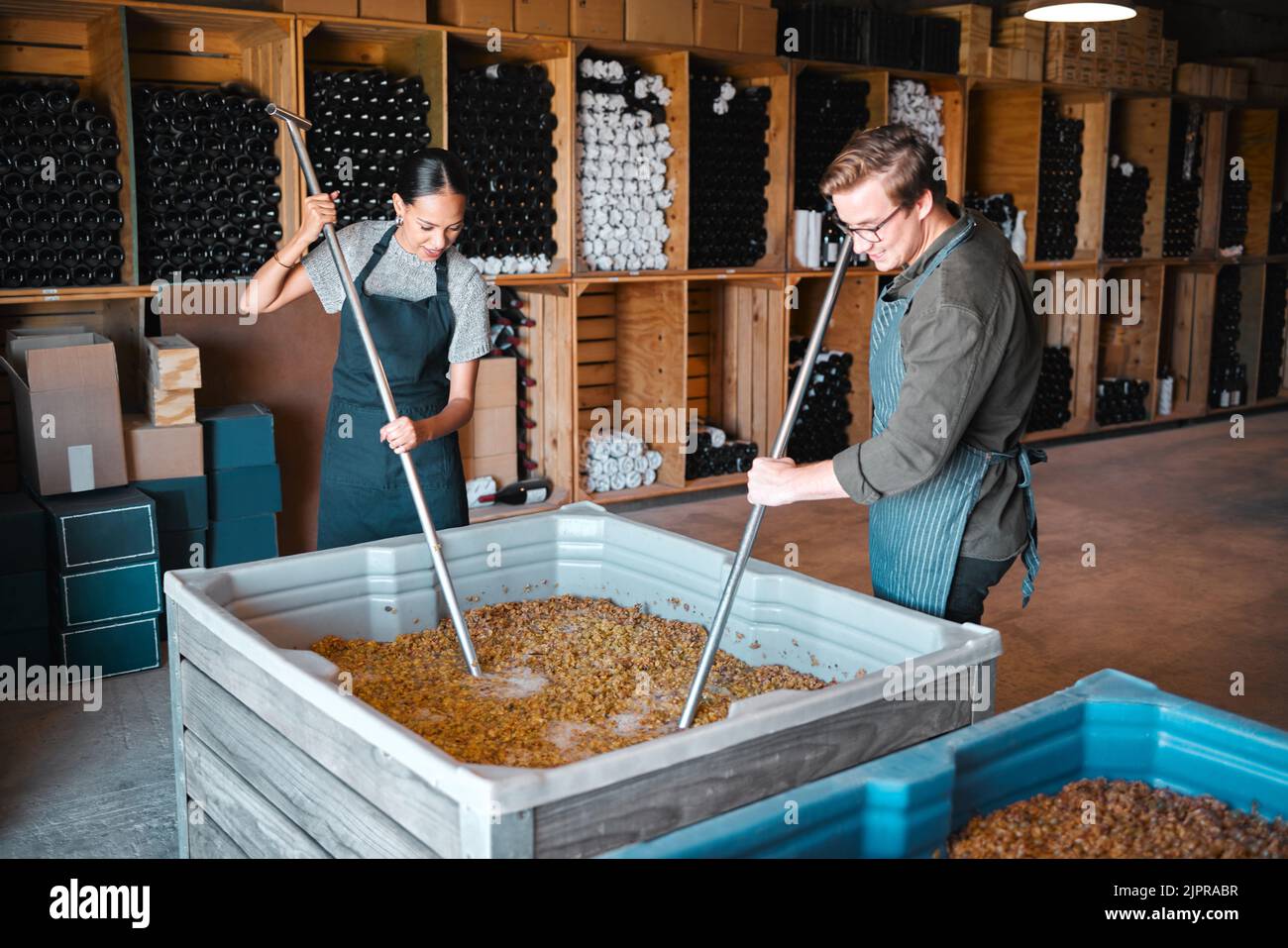 Crushing grapes for wine manufacturing in a cellar, winery and ...