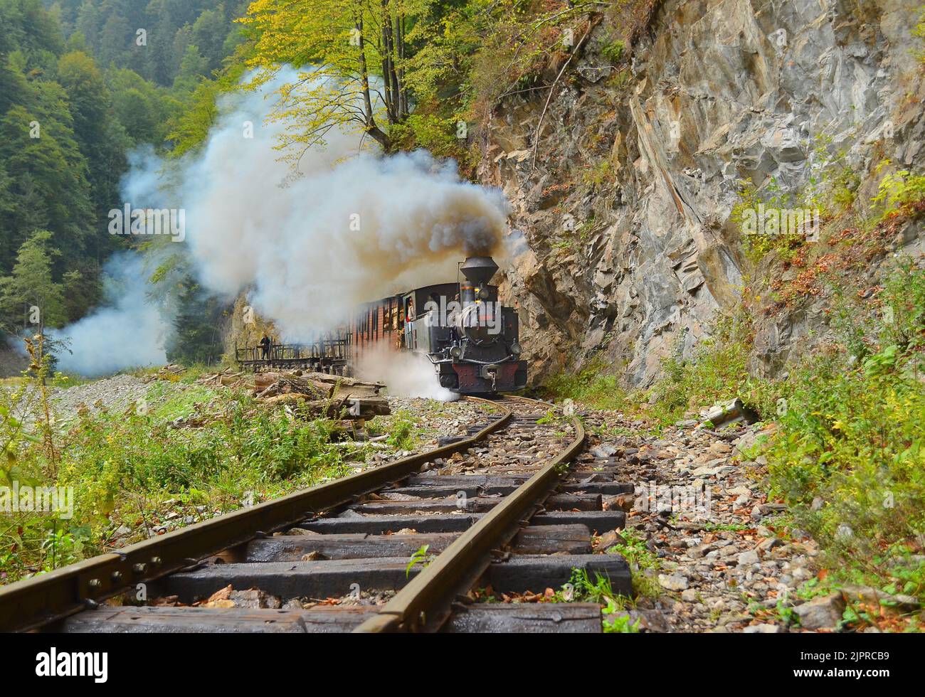 A steam train on narrow gauge railway in Viseu de Sus, Romania Stock ...