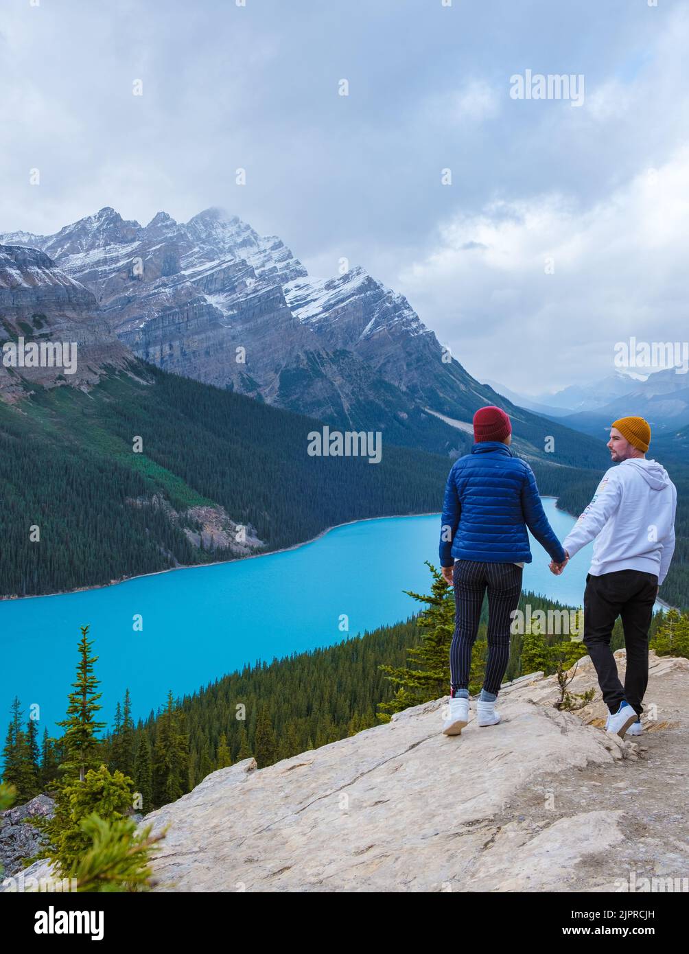 Lake Peyto in Banff National Park, Canada. Mountain Lake as a fox head ...