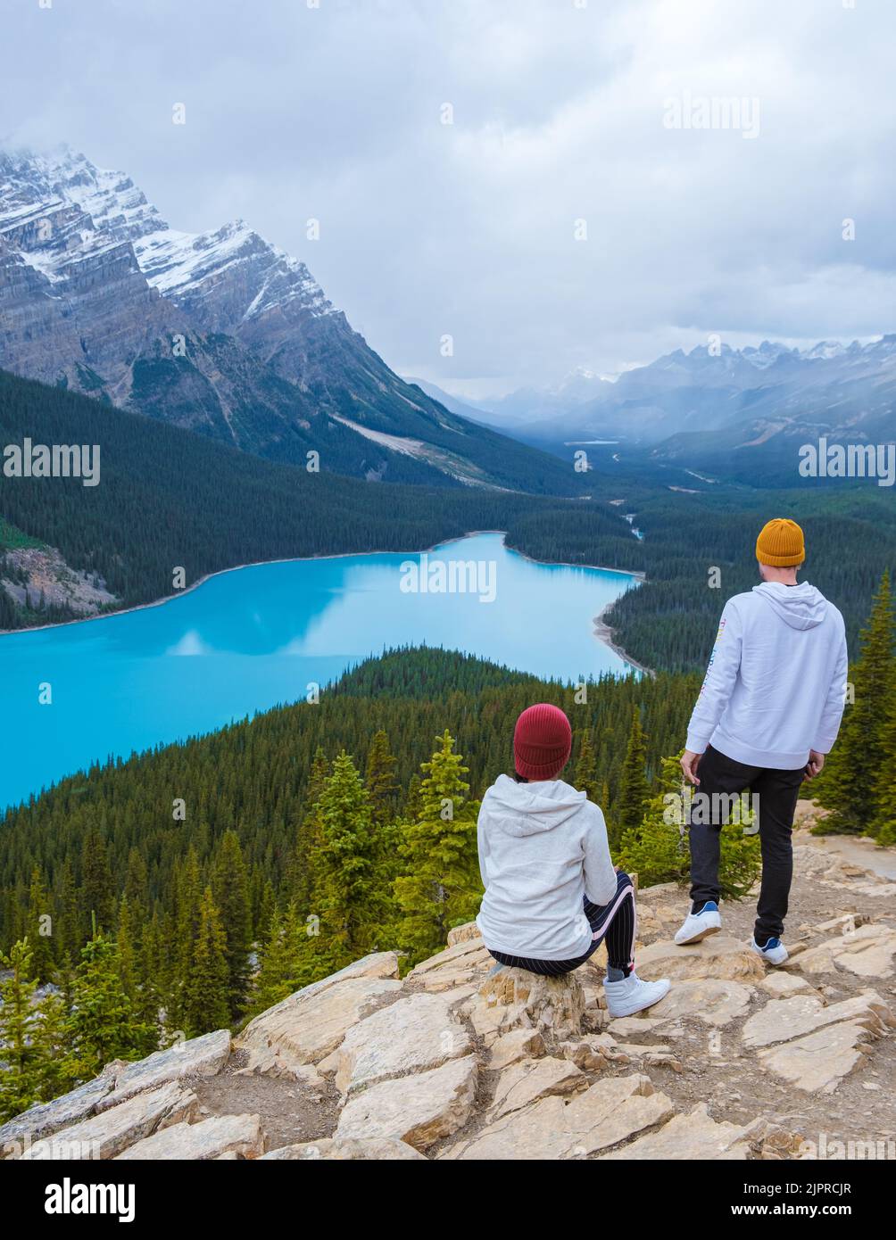 Lake Peyto in Banff National Park, Canada. Mountain Lake as a fox head ...