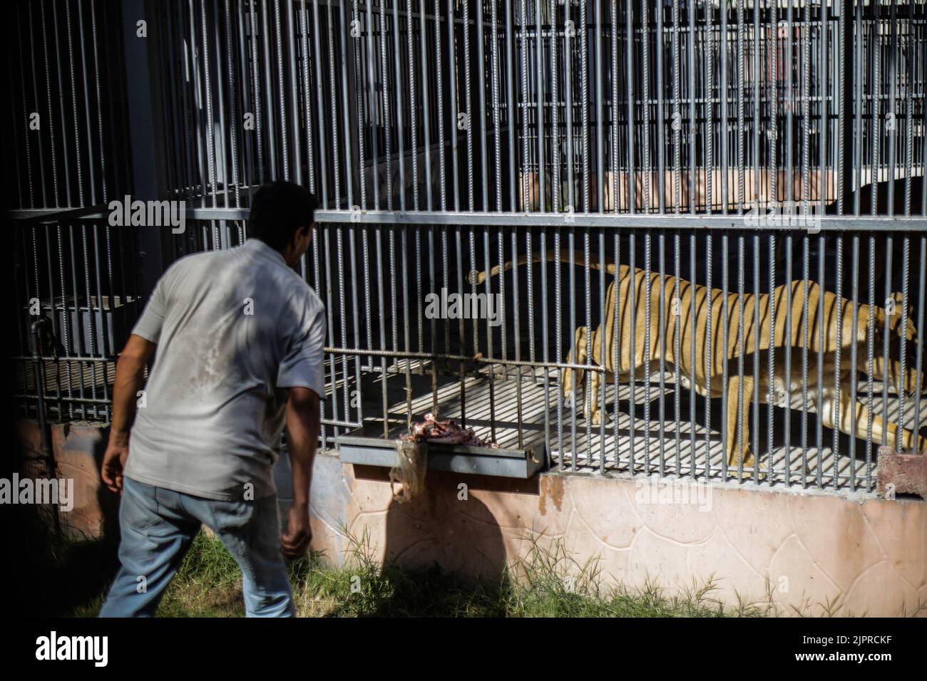 Birth cage hi-res stock photography and images - Alamy