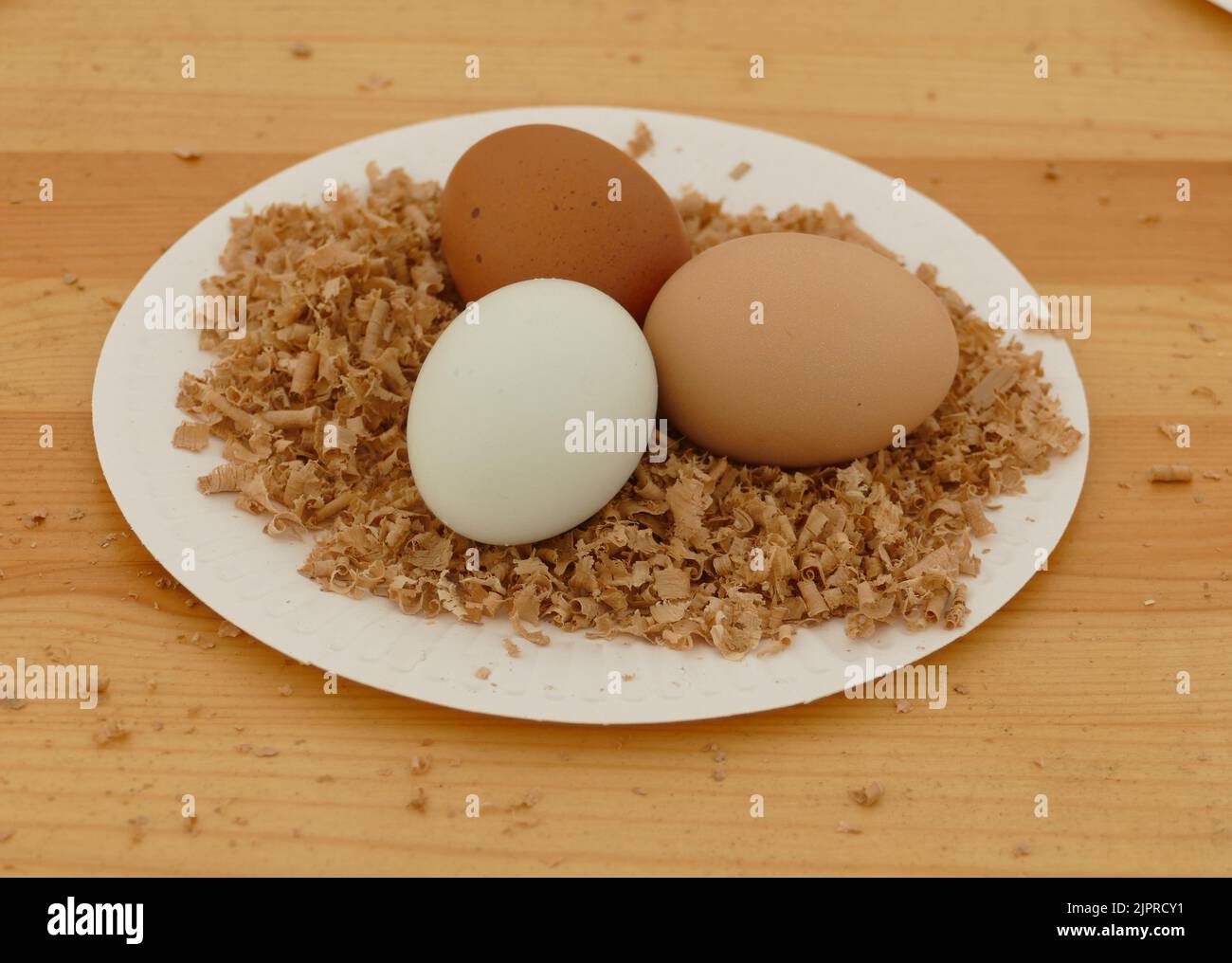 Egg eggy shell white hi-res stock photography and images - Alamy