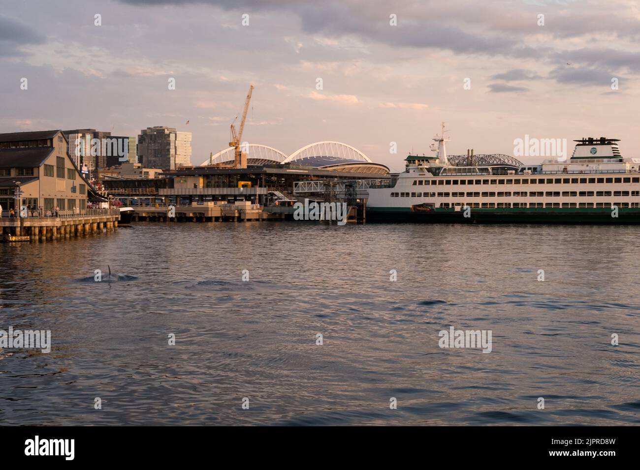 Colman ferry terminal hi-res stock photography and images - Alamy
