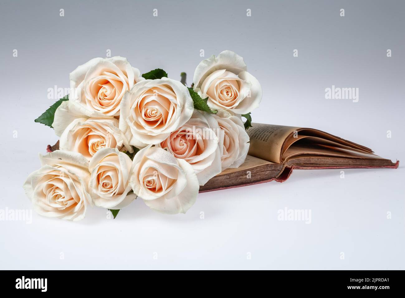 Bouquet of flowers and book on a studio background Stock Photo - Alamy