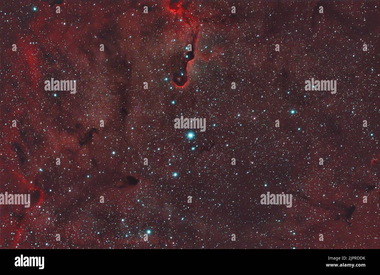 Diffuse Emission Nebula NGC1396, Elephant Trunk Nebula in the ...