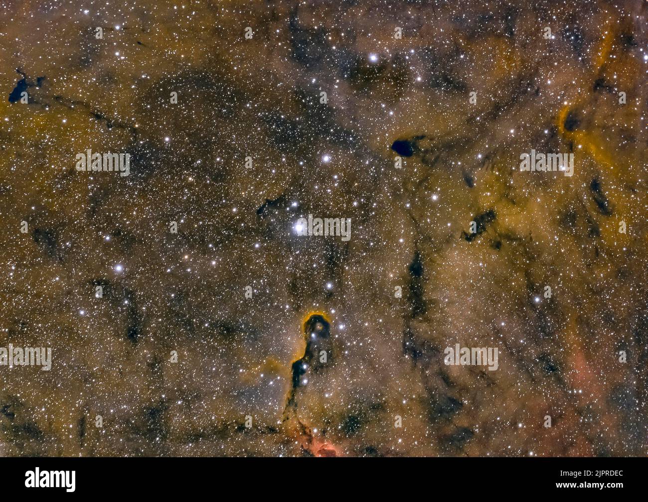 False colour image with Elephant Trunk Nebula, IC1396 in the ...