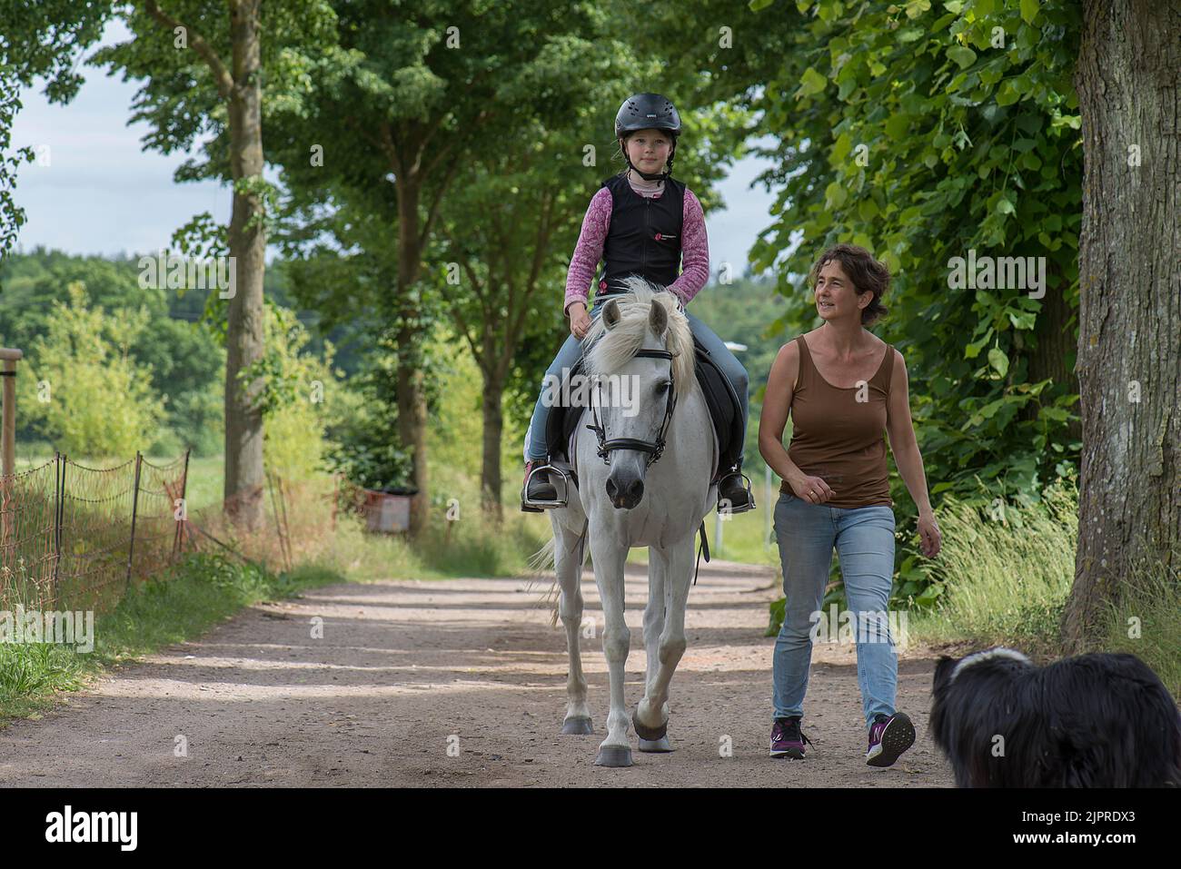 Girl walking with horse hi-res stock photography and images - Alamy