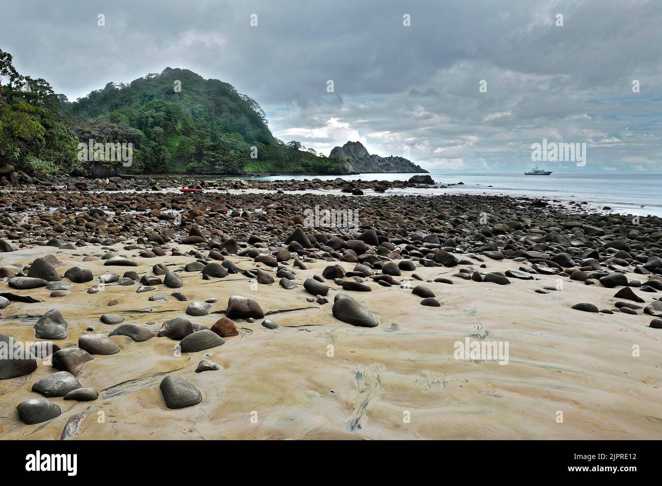 Rocky beach and jungle, Cocos Island, UNESCO World Heritage Site, Costa ...
