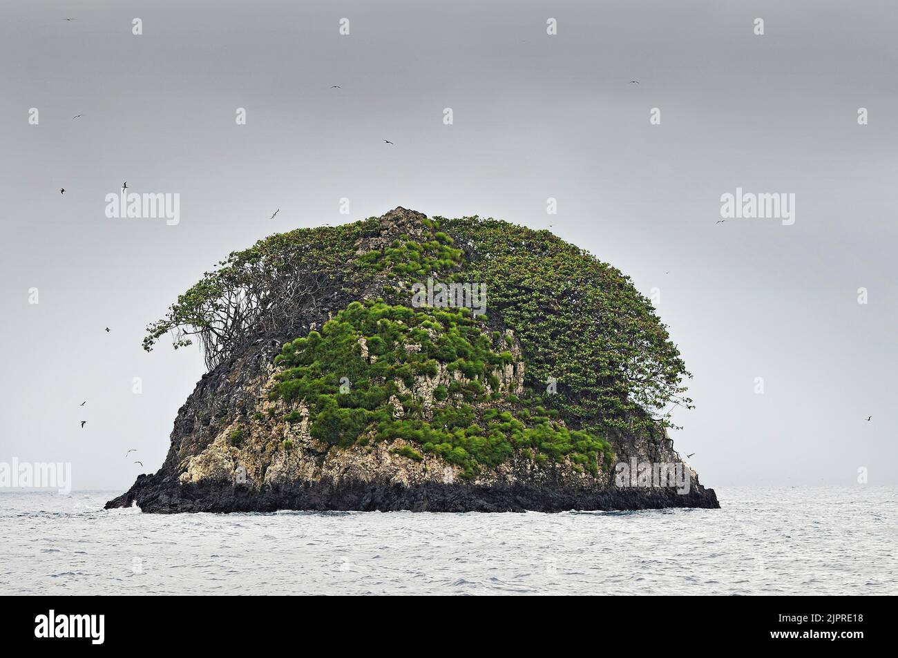 Small forested rocky island off Cocos Island, UNESCO World Heritage ...