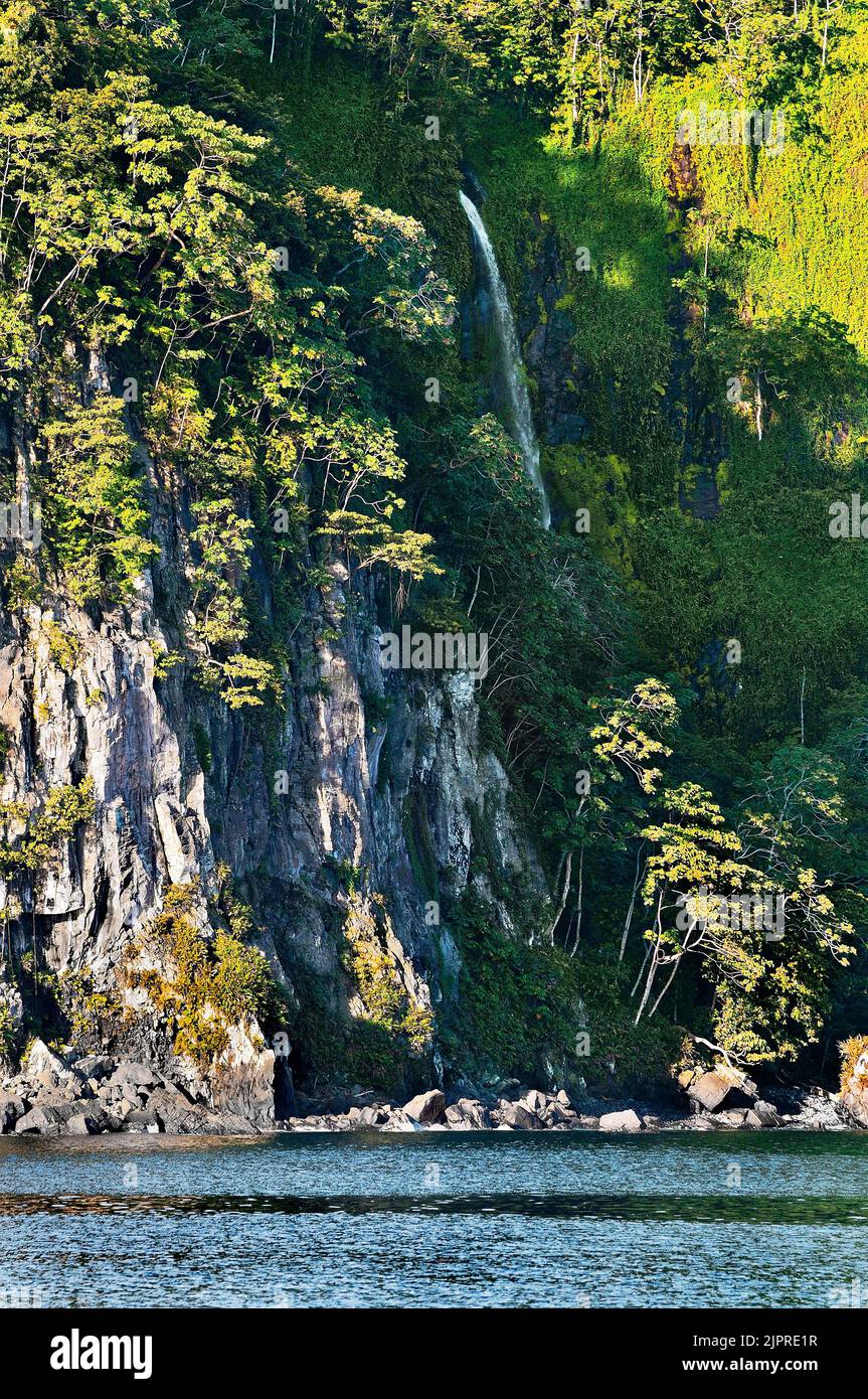 Primary forest on almost vertical rock face with waterfall on Cocos ...