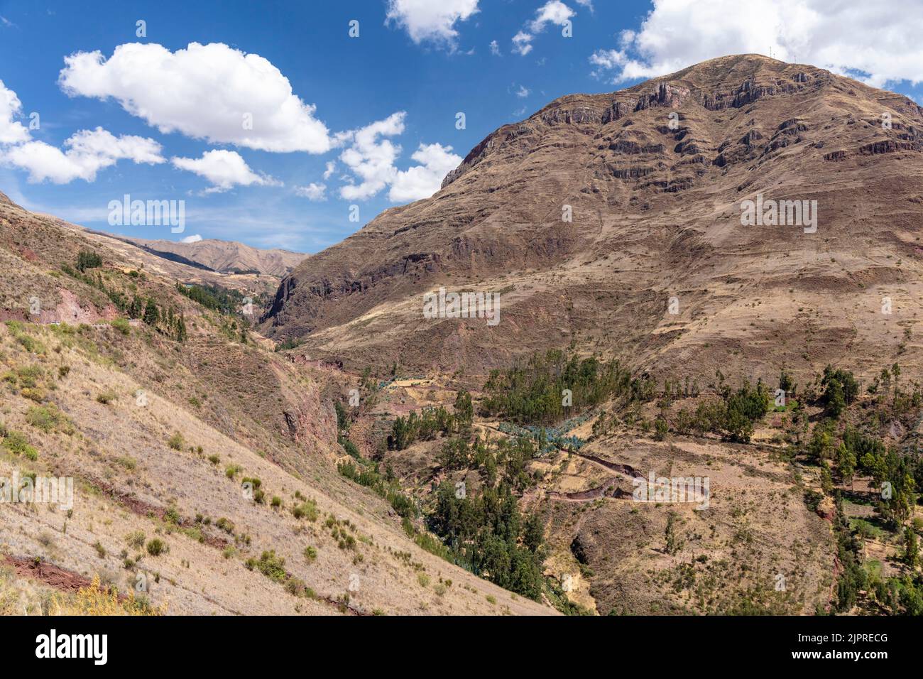 Reforestation project with native trees, Rio Urubamba, Pisac, Andean ...
