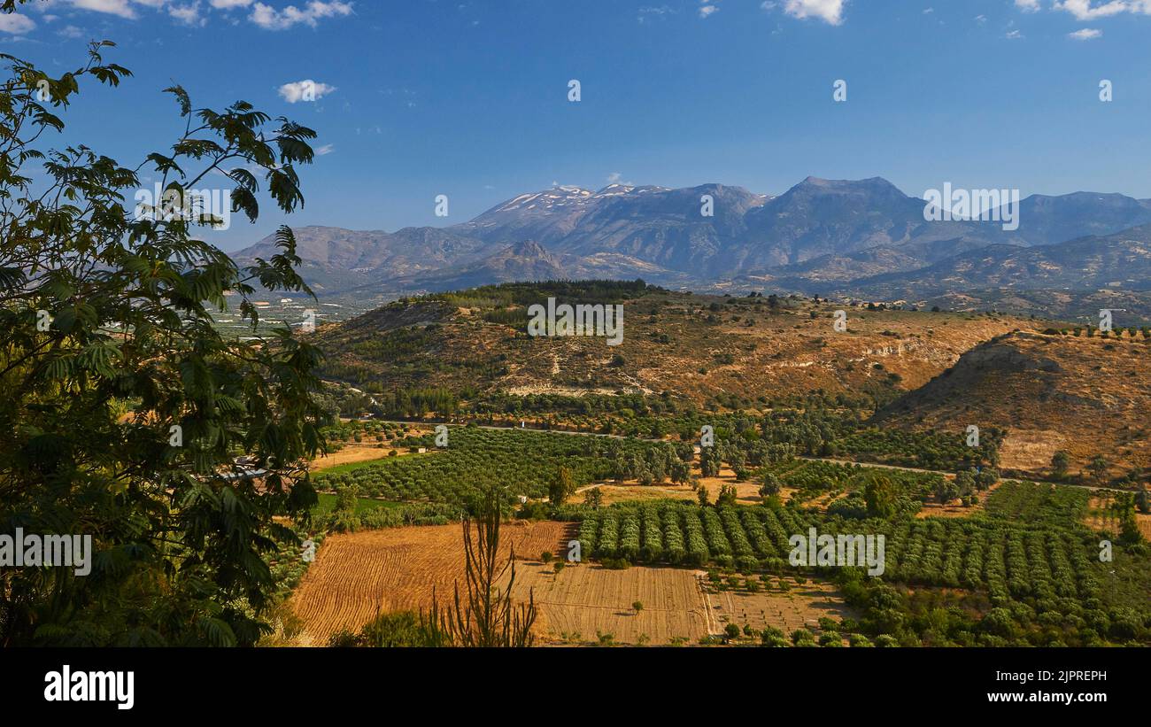 Morning light, Blue sky, White clouds, Messara plain, Olive groves ...