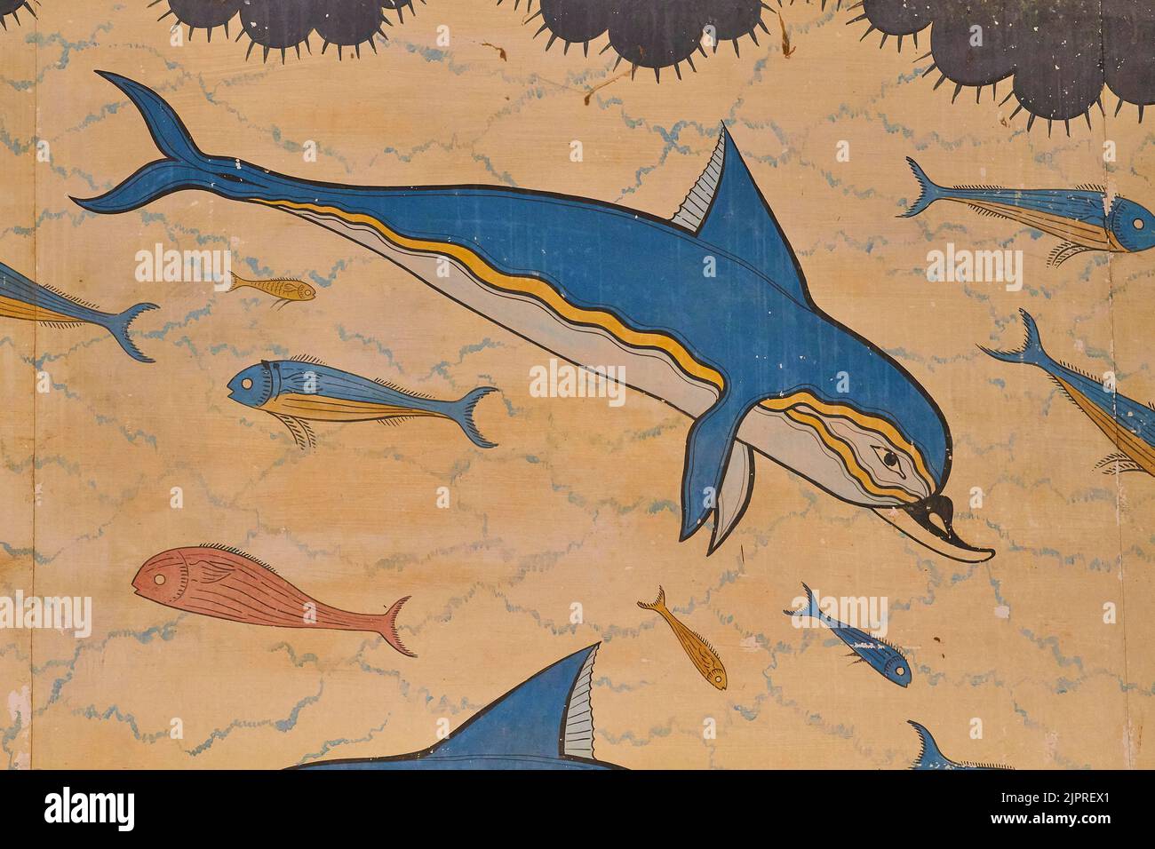 Single Dolphin, Detail Dolphin Fresco, Megaron of the Queen, Palace of ...