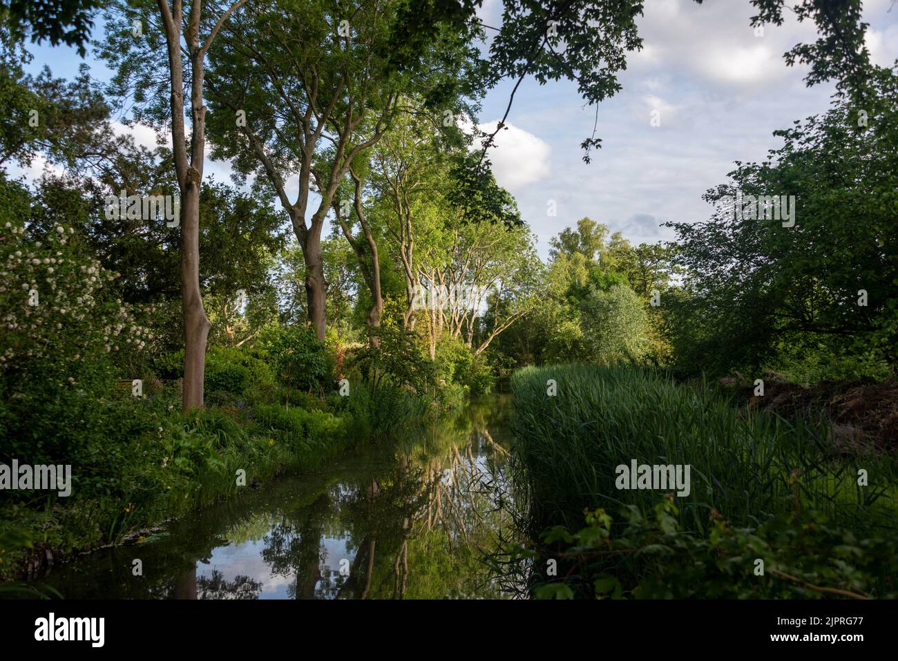 Canal at Schellingwouderdijk, park, deciduous trees, Amsterdam ...