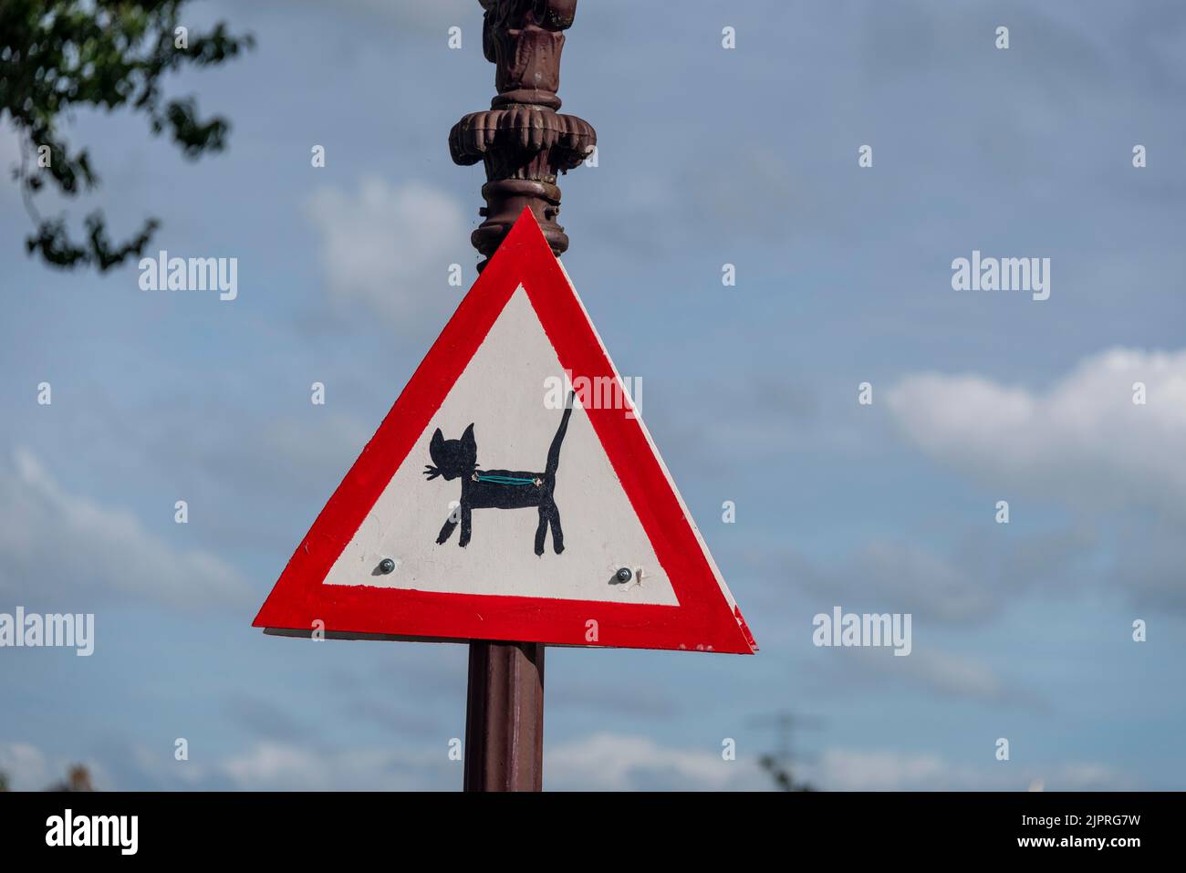 Curious traffic sign, cats have right of way, Amsterdam, Netherlands ...