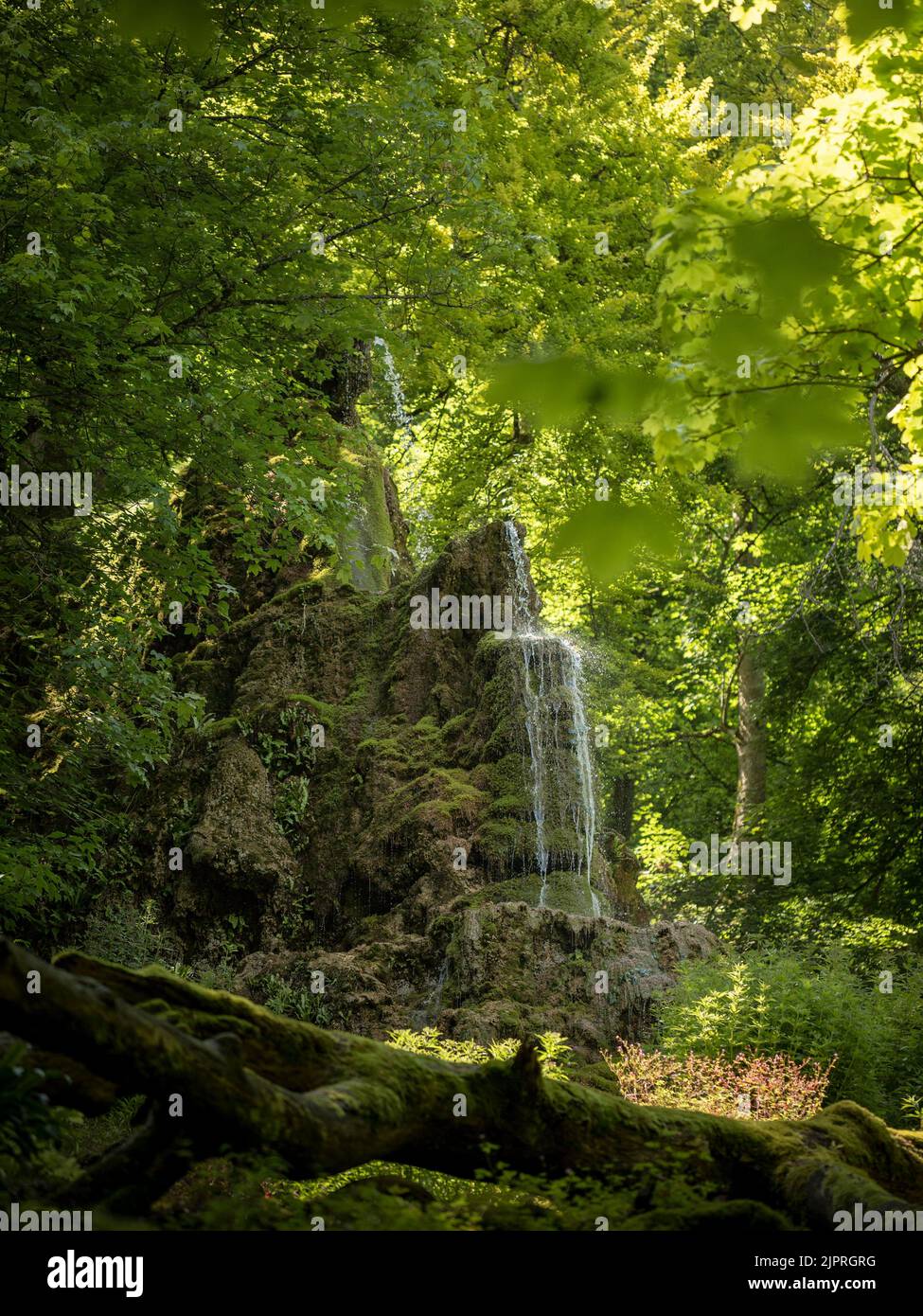 Damp, moss, forest, water, Guetersteiner waterfall, Bad Urach, Swabian ...