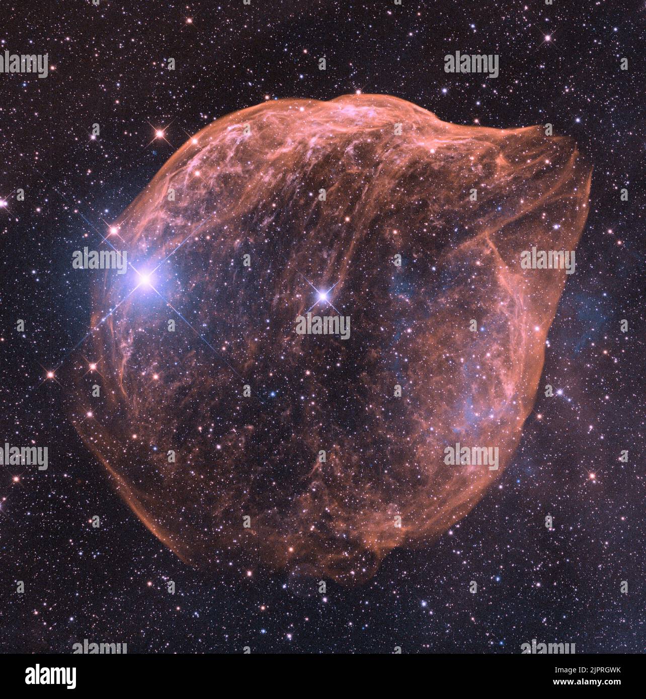 The Dolphin Head Nebula. Sharpless 308. Elements of this image were ...