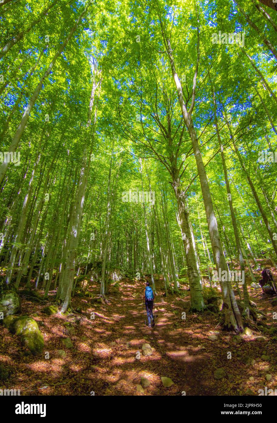 Monte Amiata (Italy) - In Val d'Orcia, Tuscany, soar the Amiata mount ...