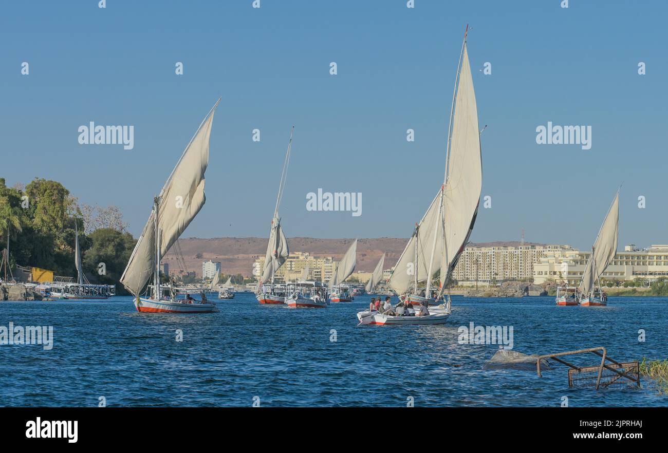 Sailing boats, excursion boats on the Nile at Aswan, Egypt Stock Photo ...