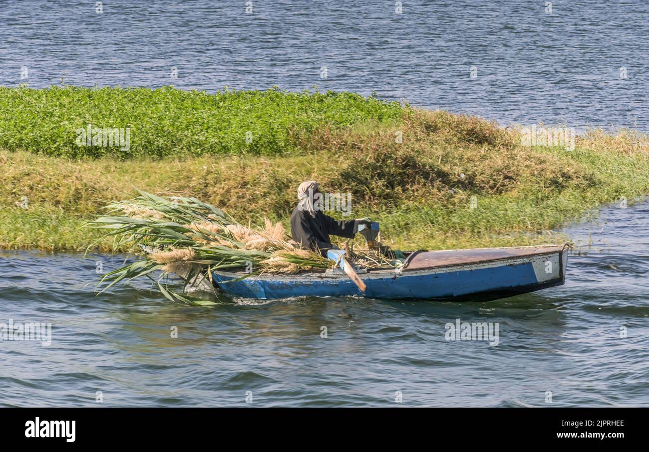 Reed ship egyptian hi-res stock photography and images - Alamy