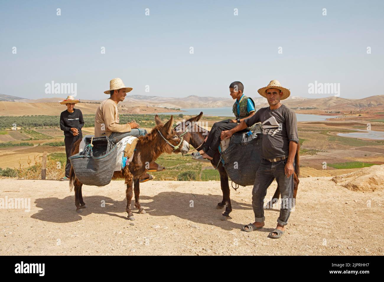 Moroccan farmers with donkeys, Sidi Chahed reservoir in the background ...