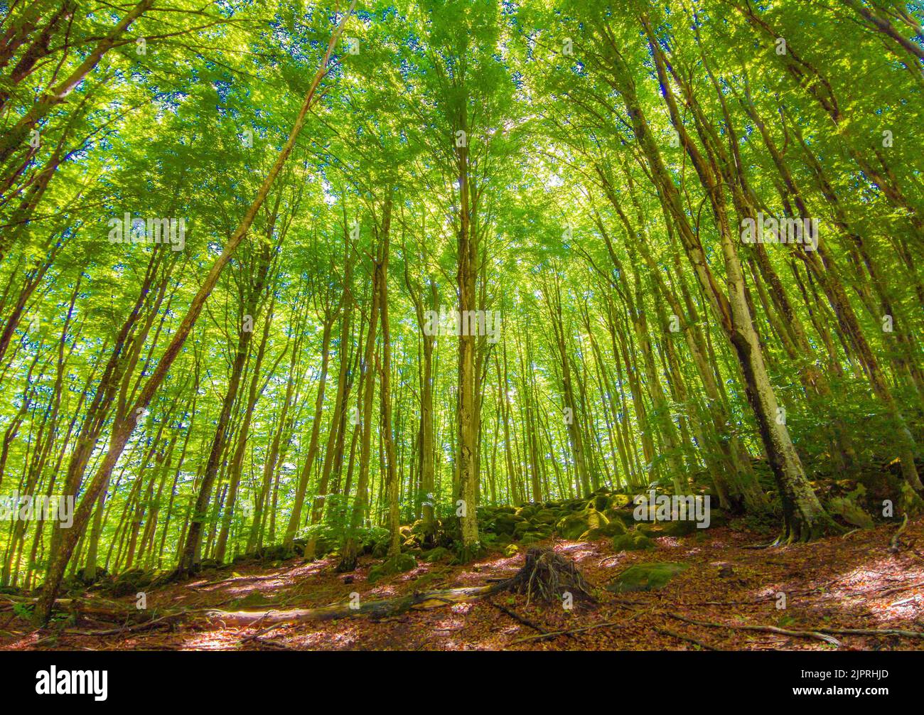 Monte Amiata (Italy) - In Val d'Orcia, Tuscany, soar the Amiata mount ...