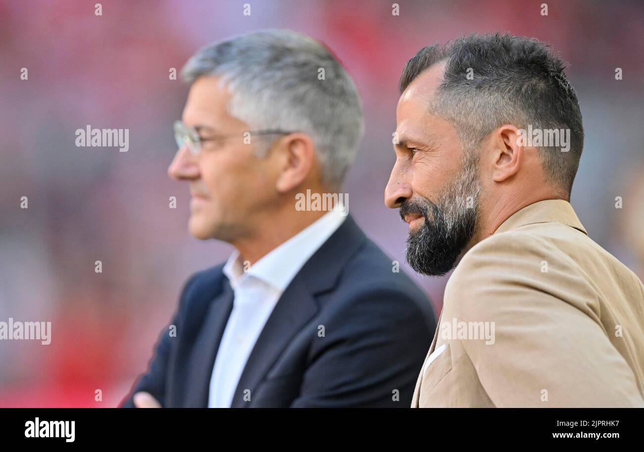 President board directors hi-res stock photography and images - Alamy