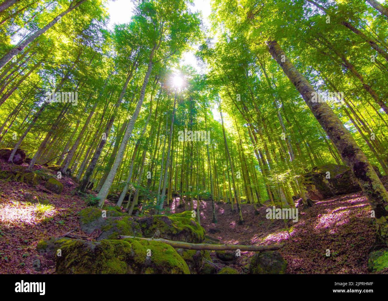 Monte Amiata (Italy) - In Val d'Orcia, Tuscany, soar the Amiata mount ...