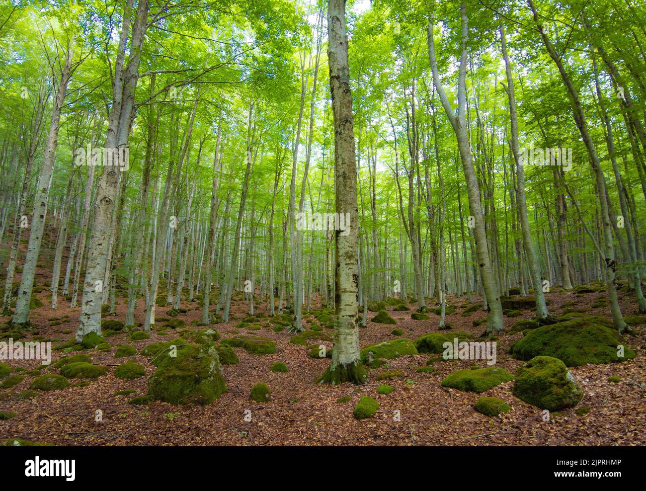 Monte Amiata (Italy) - In Val d'Orcia, Tuscany, soar the Amiata mount ...