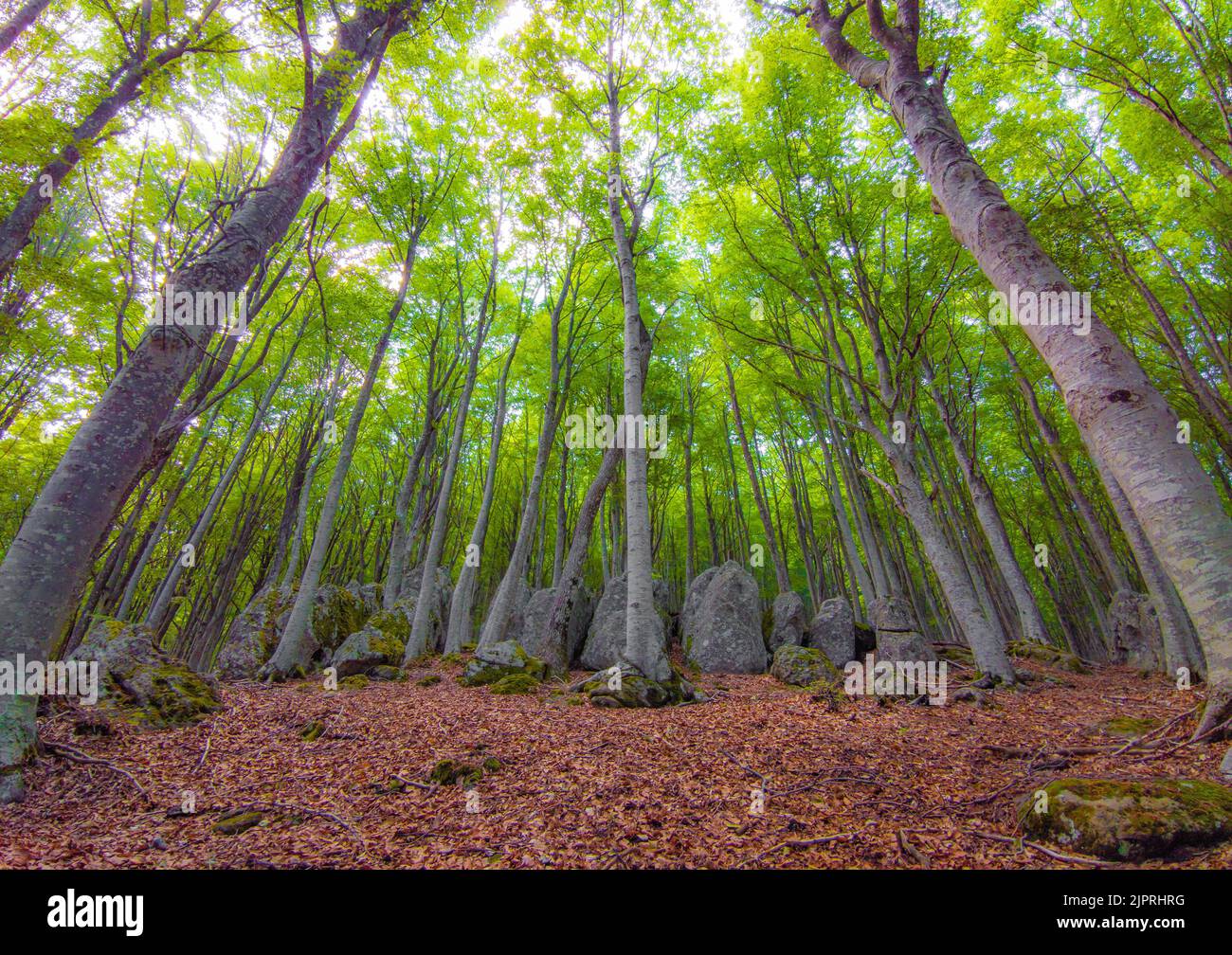 Monte Amiata (Italy) - In Val d'Orcia, Tuscany, soar the Amiata mount ...