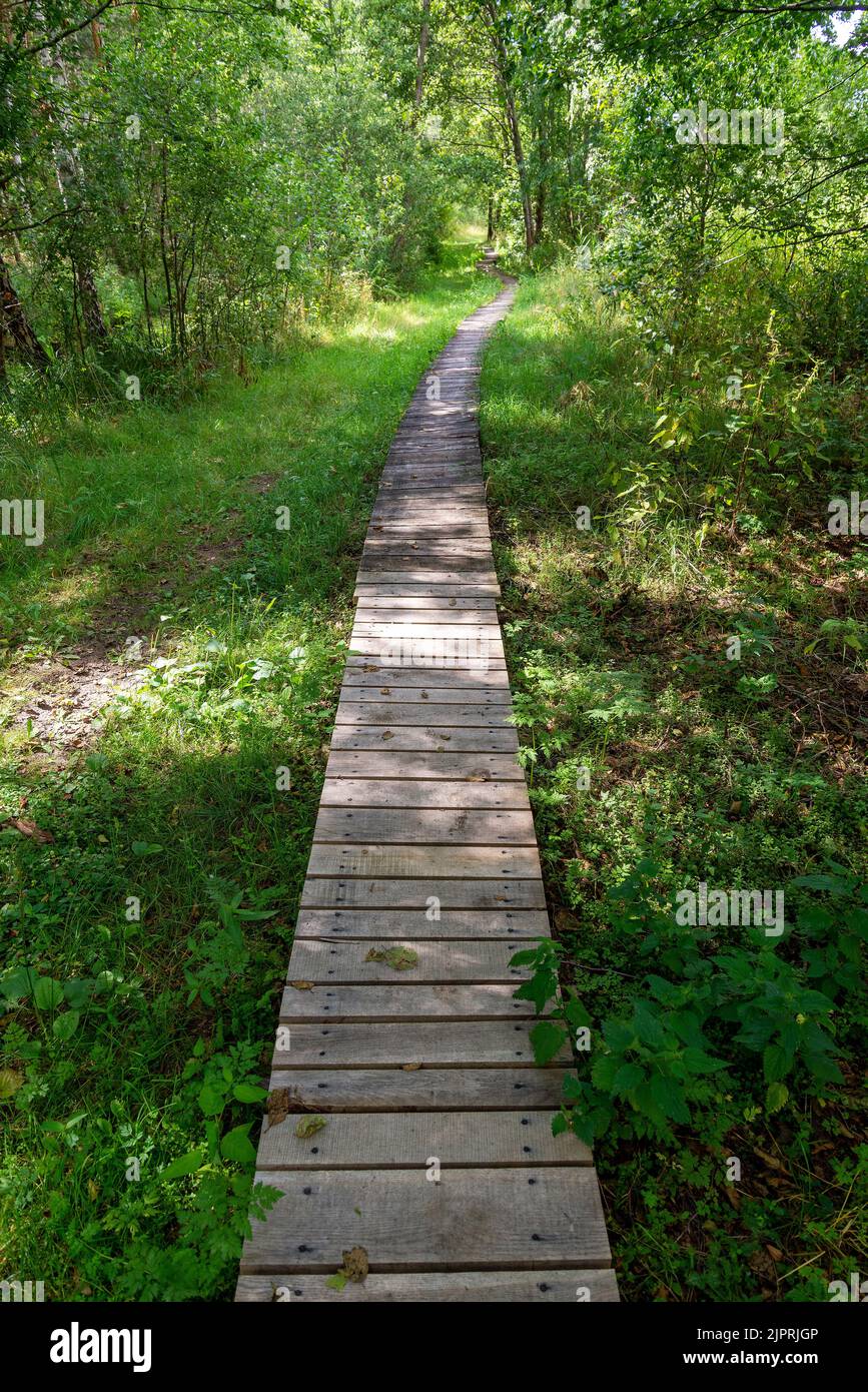 A wooden walking path over wetlands in the Poleski National Park Stock ...