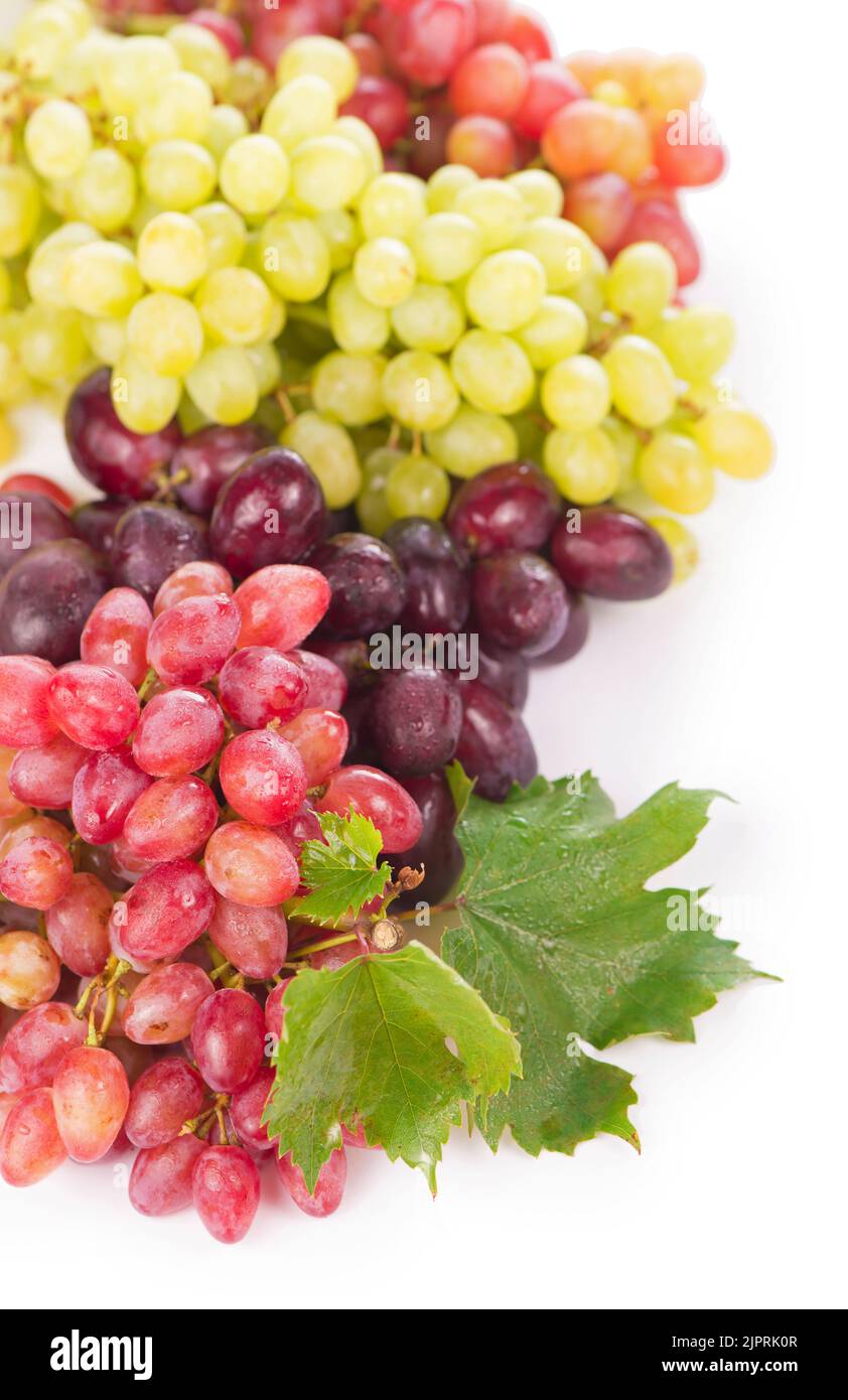 Fulldepthoffield hi-res stock photography and images - Alamy