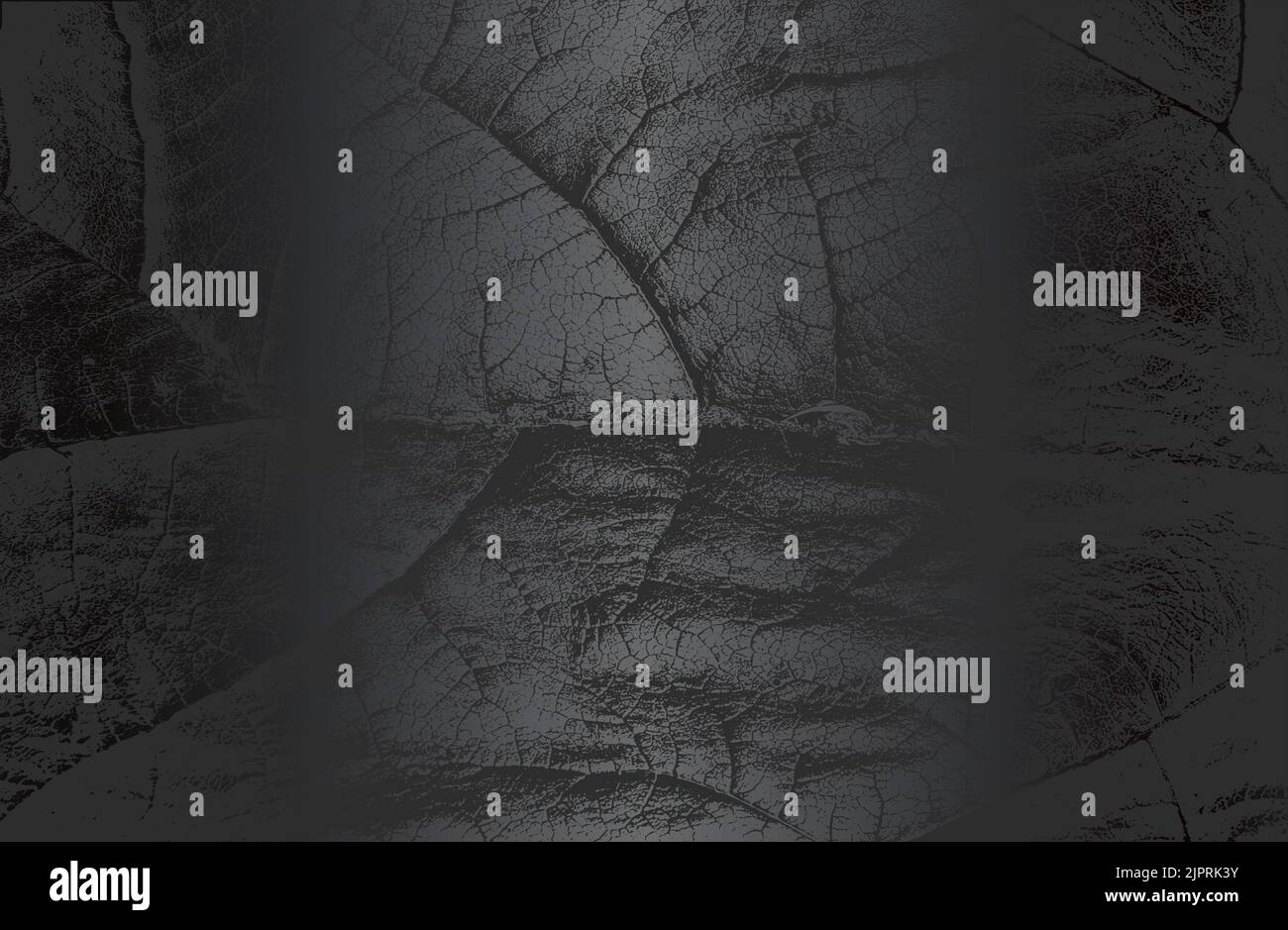 Luxury black metal gradient background with distressed closeup leaf ...
