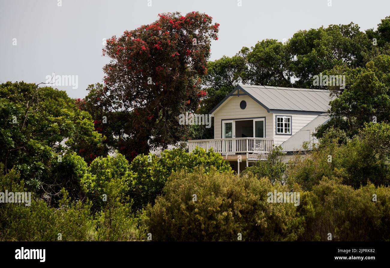 House between the trees hi-res stock photography and images - Alamy