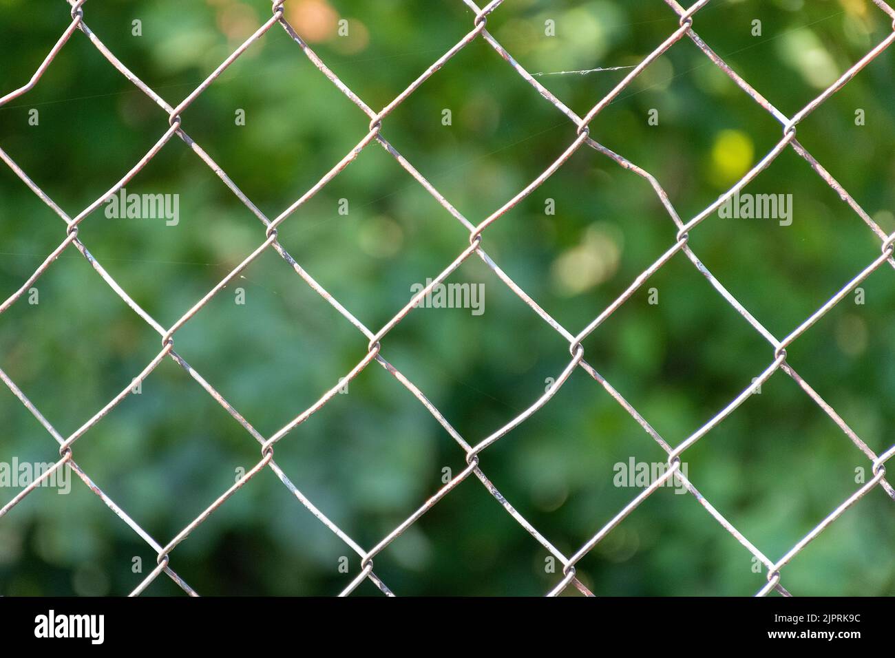 Net fence hi-res stock photography and images - Alamy