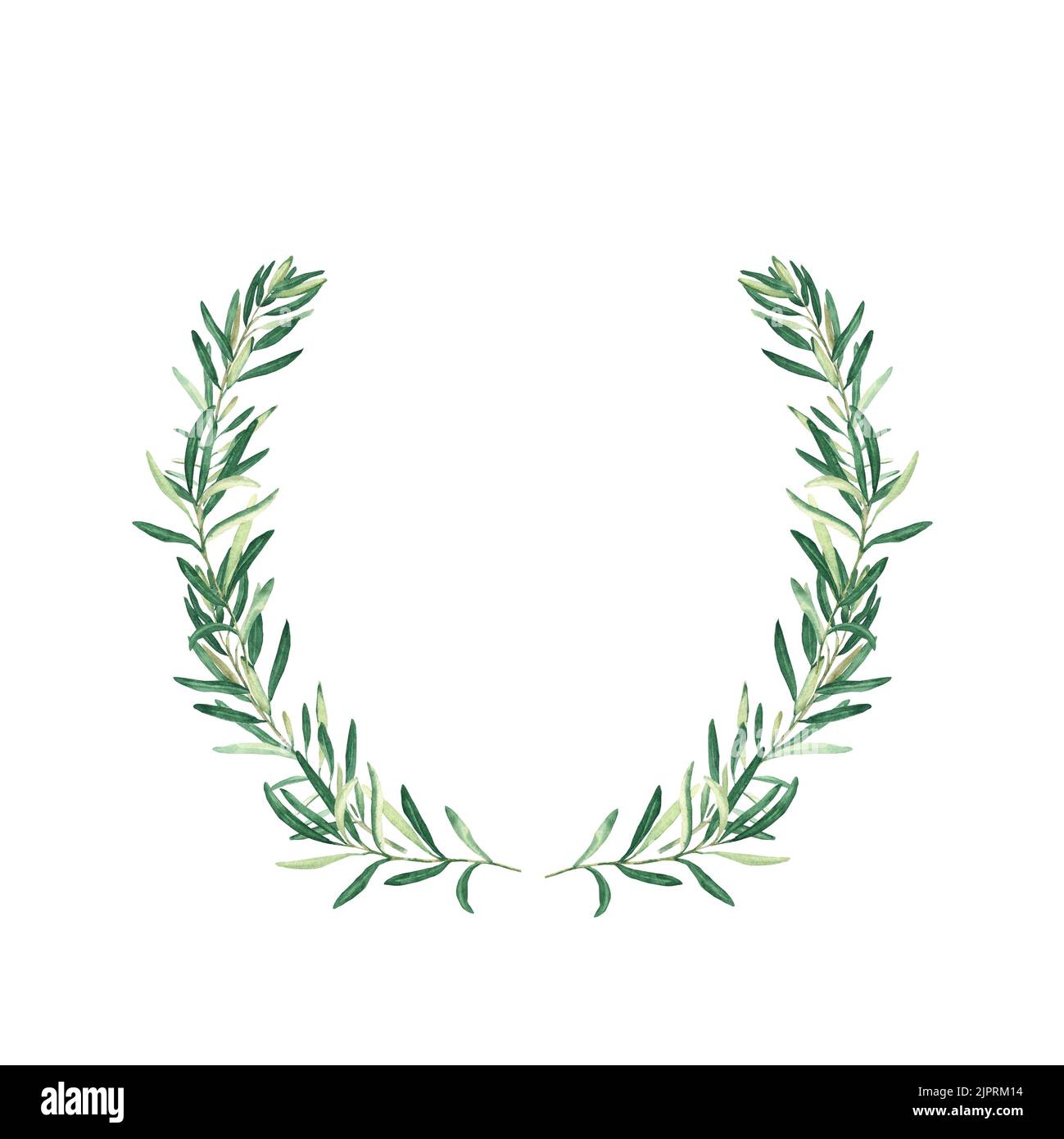 Watercolor olive wreath. Isolated on white background. Hand drawn ...