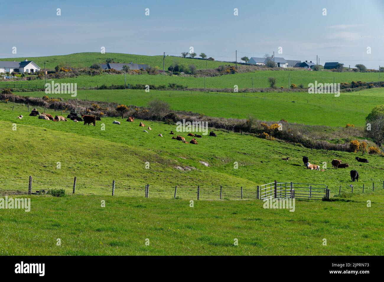 Beauty of ireland hi-res stock photography and images - Alamy