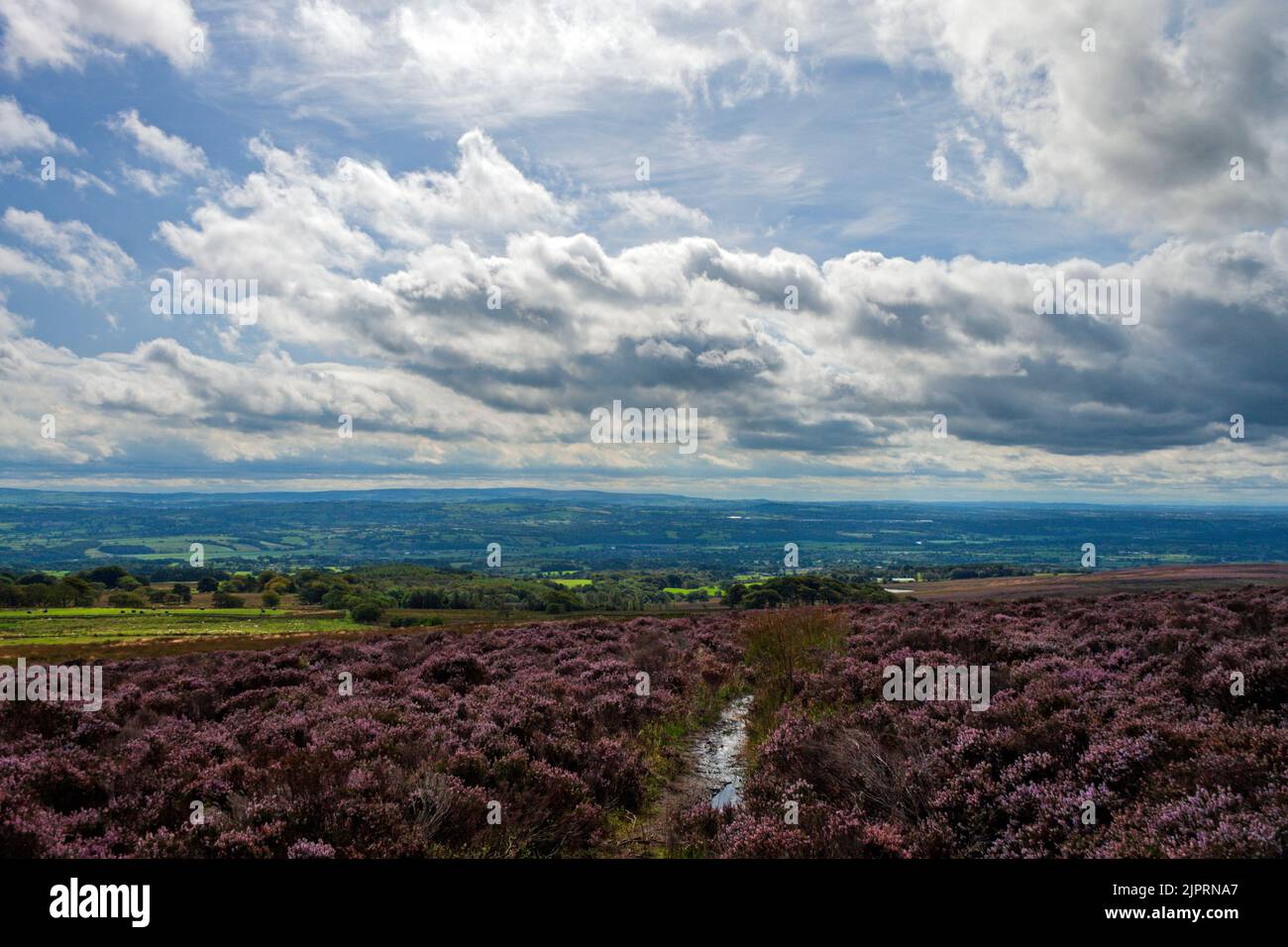 Longridge fell hi-res stock photography and images - Alamy
