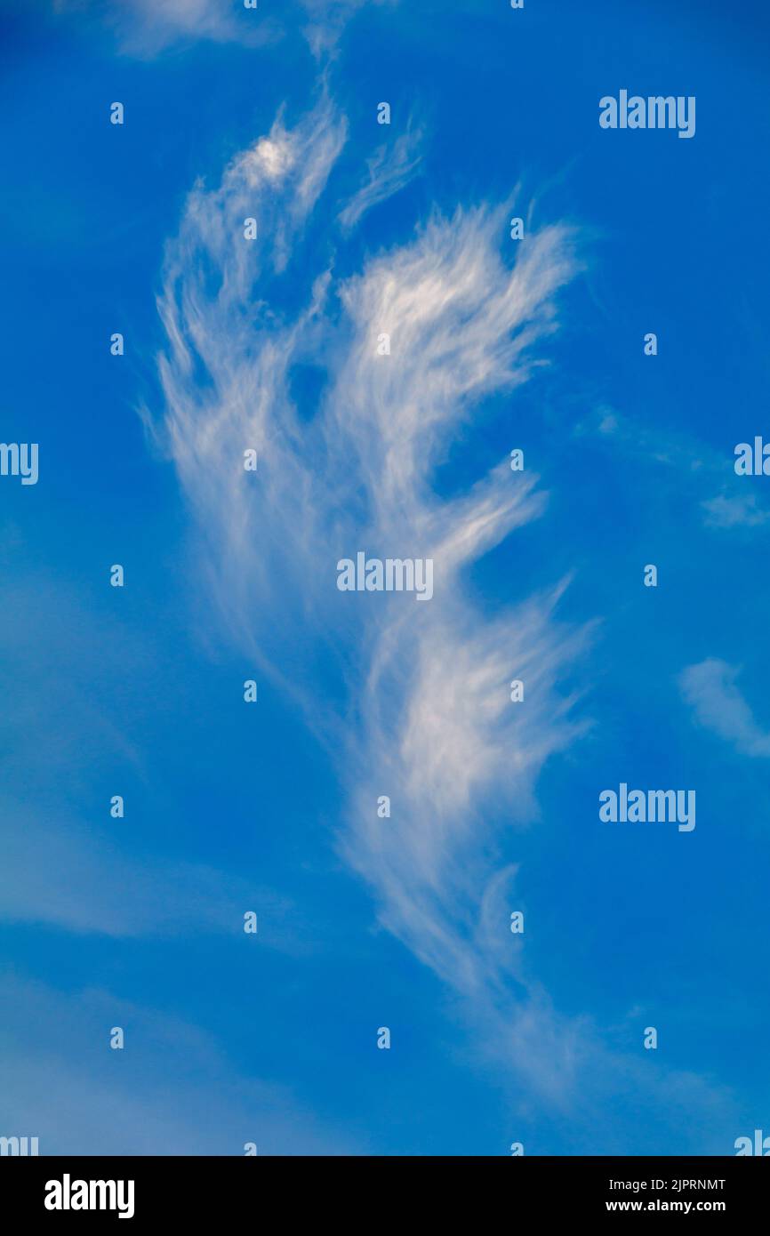 Nice filaments hi-res stock photography and images - Alamy