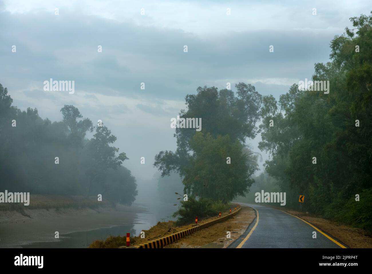 beautiful rod in the green tree lines in fog Stock Photo - Alamy